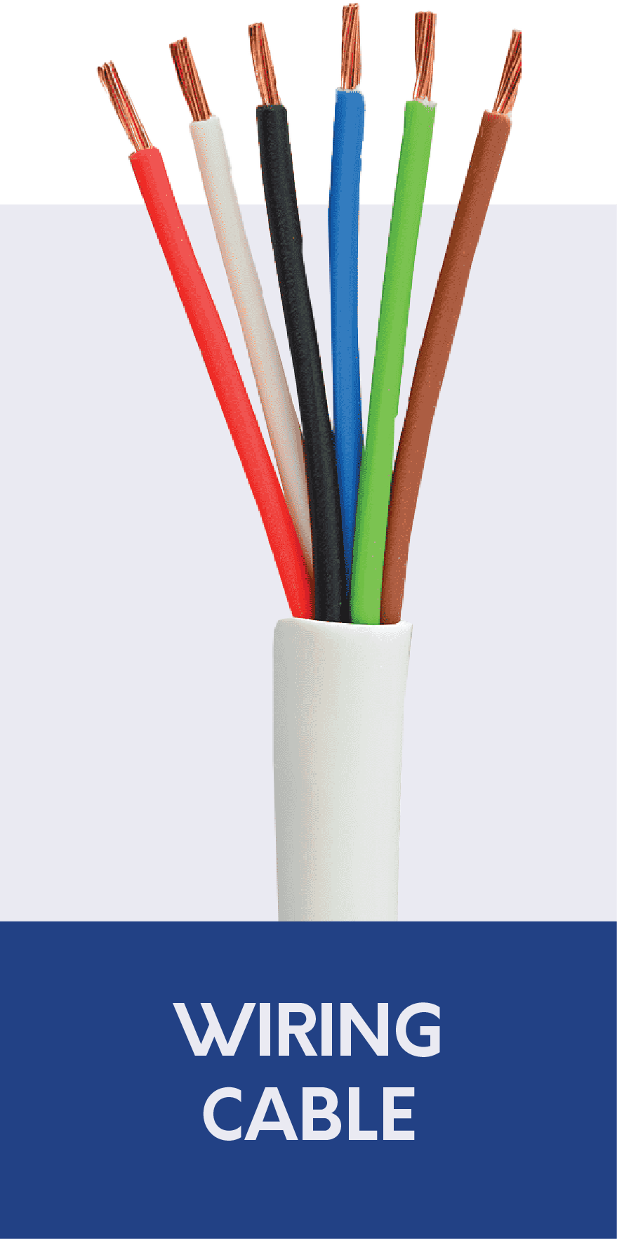 COLEMAN Wire & Cable - Powering the Future, Connecting Today